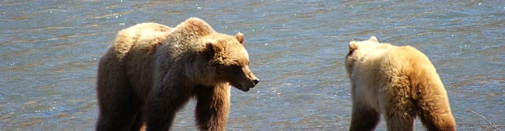 Carl Eli Rosen, M.D. | Ophthalmic Associates - Eye Doctors in Anchorage ...