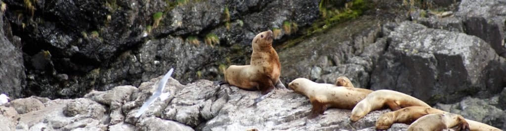 Carl Eli Rosen, M.D. | Ophthalmic Associates - Eye Doctors in Anchorage ...