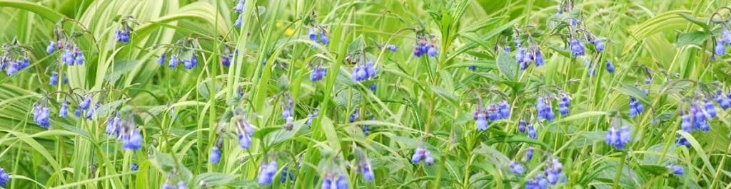 Carl Eli Rosen, M.D. | Ophthalmic Associates - Eye Doctors in Anchorage ...